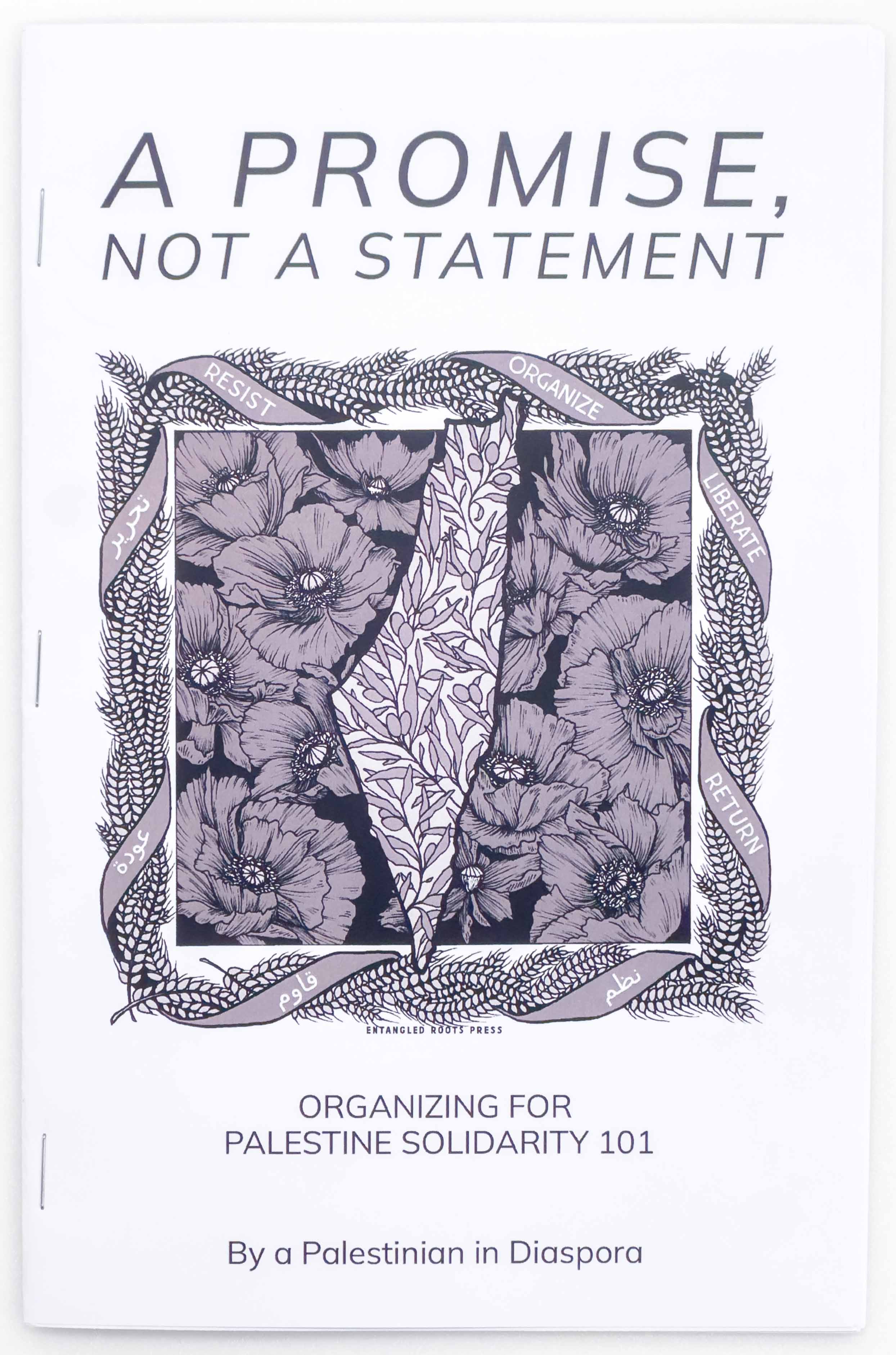 A Promise, Not a Statement: organizing for Palestine solidarity 101 | Archives and Special ...